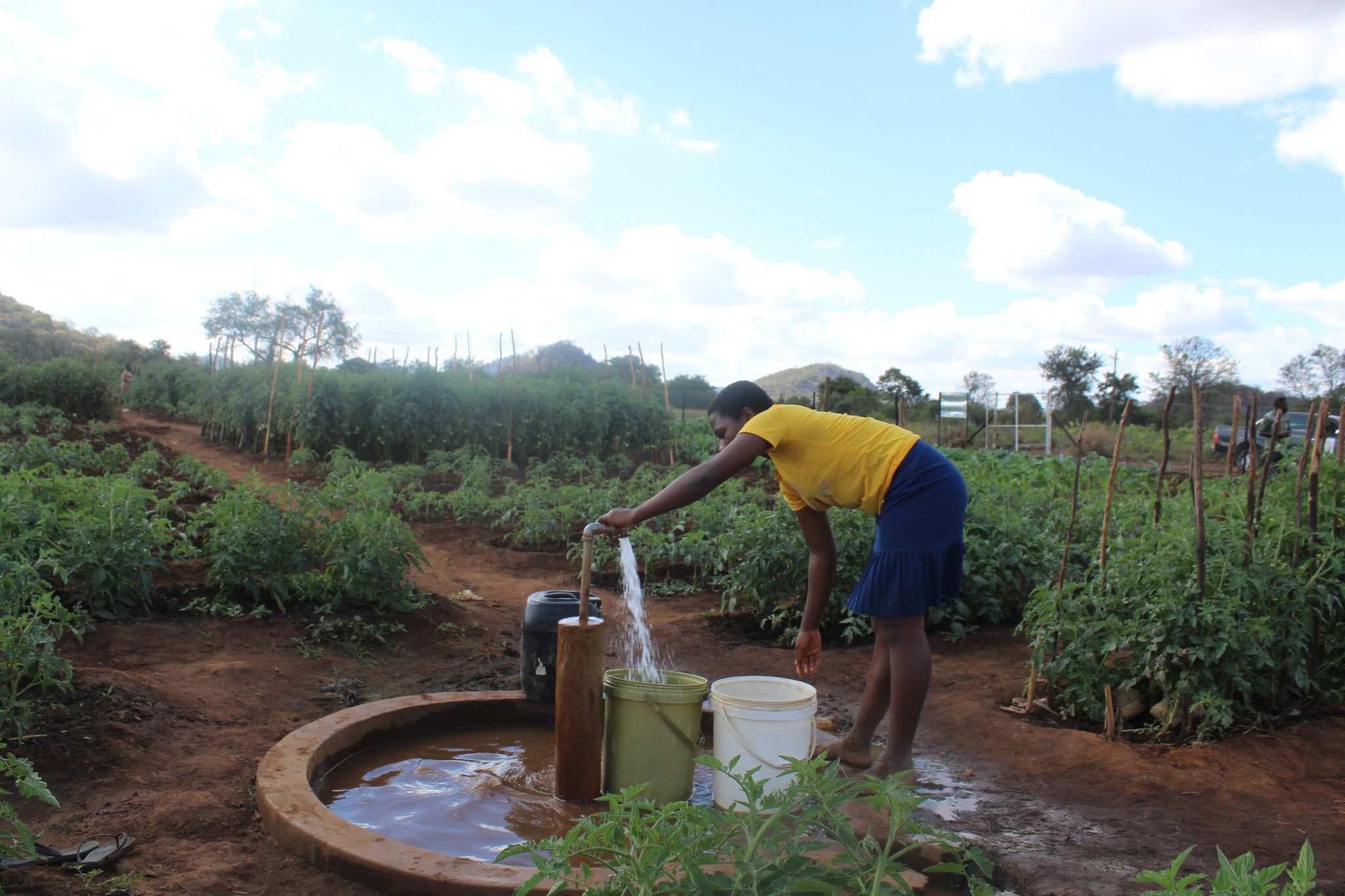Livelihood and Sustainable Development – Africa AHEAD