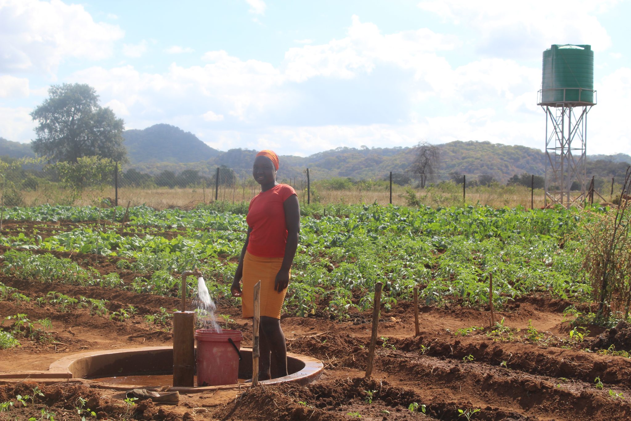 Livelihood and Sustainable Development – Africa AHEAD