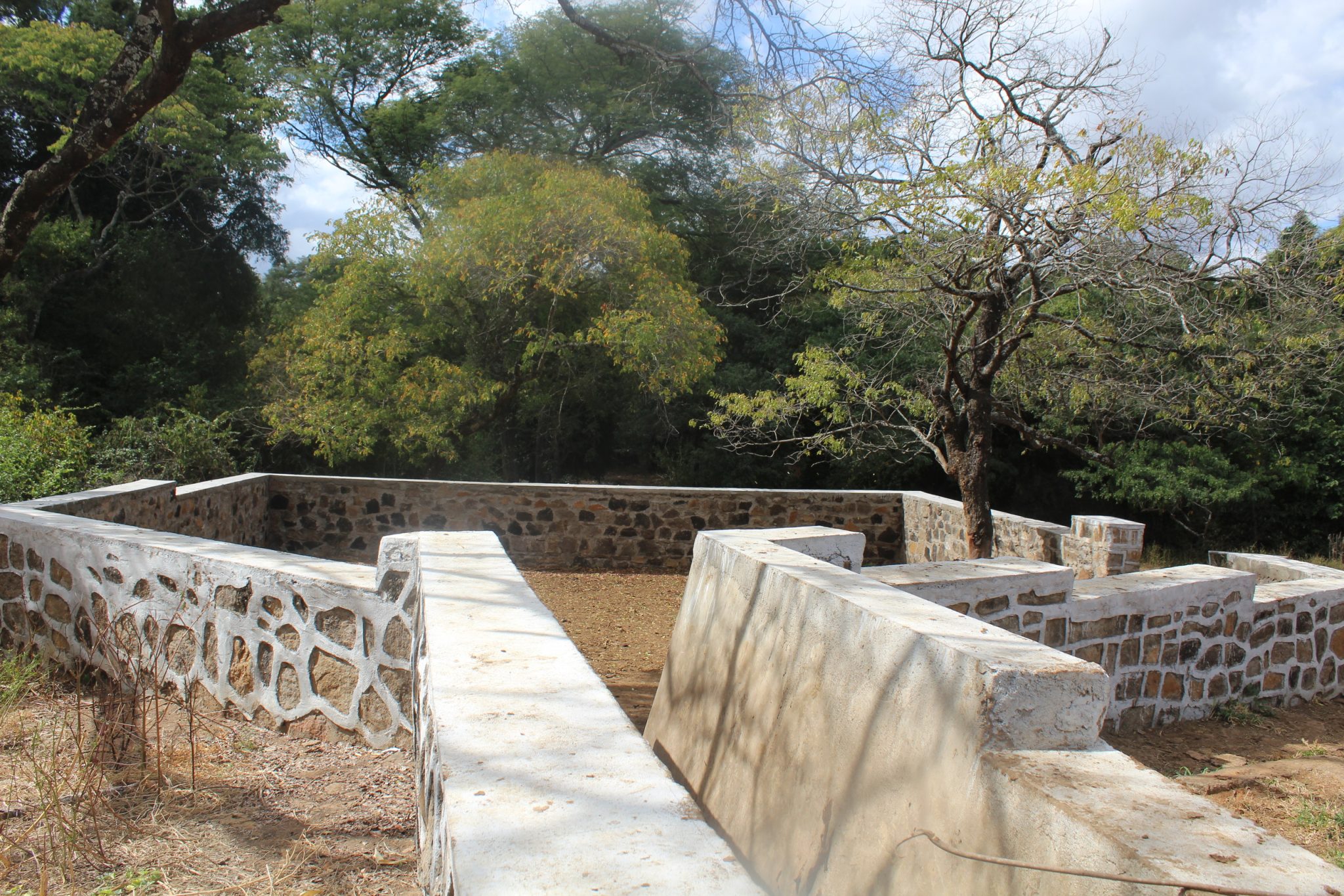 Empowering Women in Cattle Farming: The Transformation of a Community ...